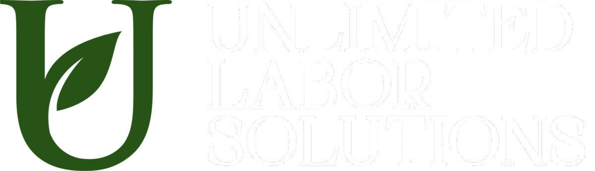 H-2B Visa Lottery Explained: What Employers Need to Know About Randomization Groups - Unlimited ...