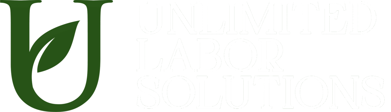H-2B Visa Lottery Explained: What Employers Need to Know About Randomization Groups - Unlimited ...