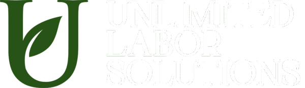 H-2B Visa Lottery Explained: What Employers Need to Know About Randomization Groups - Unlimited ...