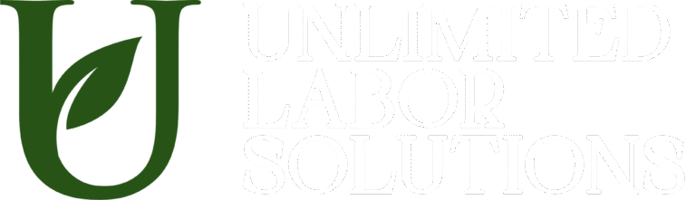 H-2B Visa Lottery Explained: What Employers Need to Know About Randomization Groups - Unlimited ...
