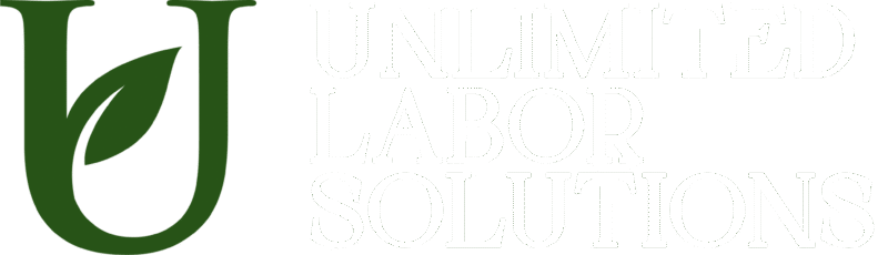H-2B Visa Lottery Explained: What Employers Need to Know About Randomization Groups - Unlimited ...